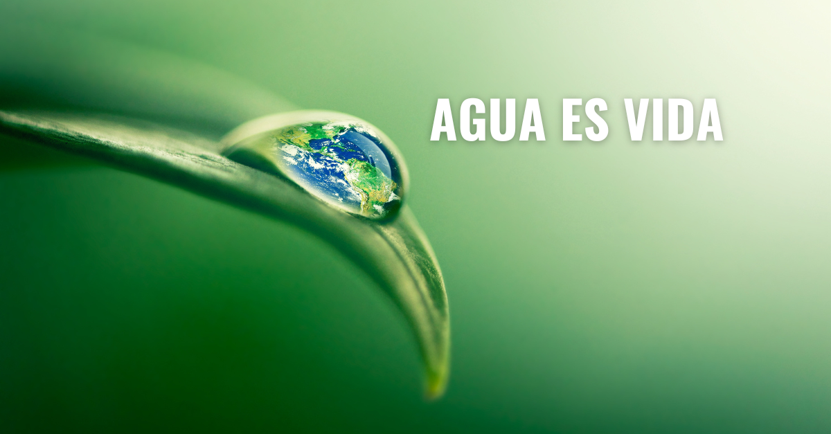 Agua es Vida | B3 Insight Blog